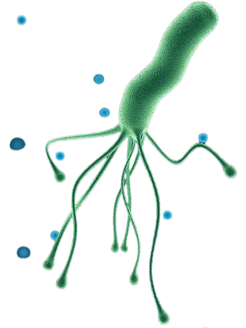 celis biotech co.,ltd